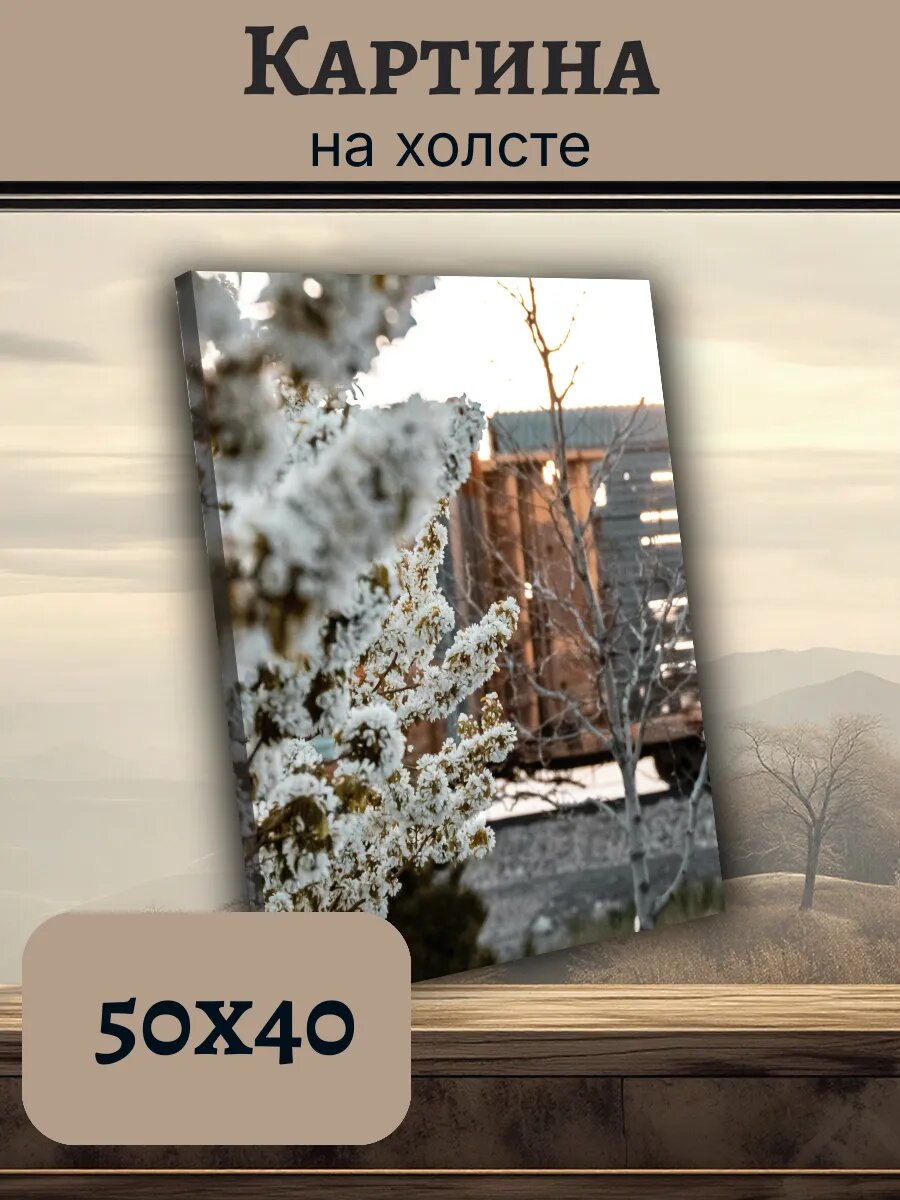 Картина Япония Japan 40x50 цветущая сакура