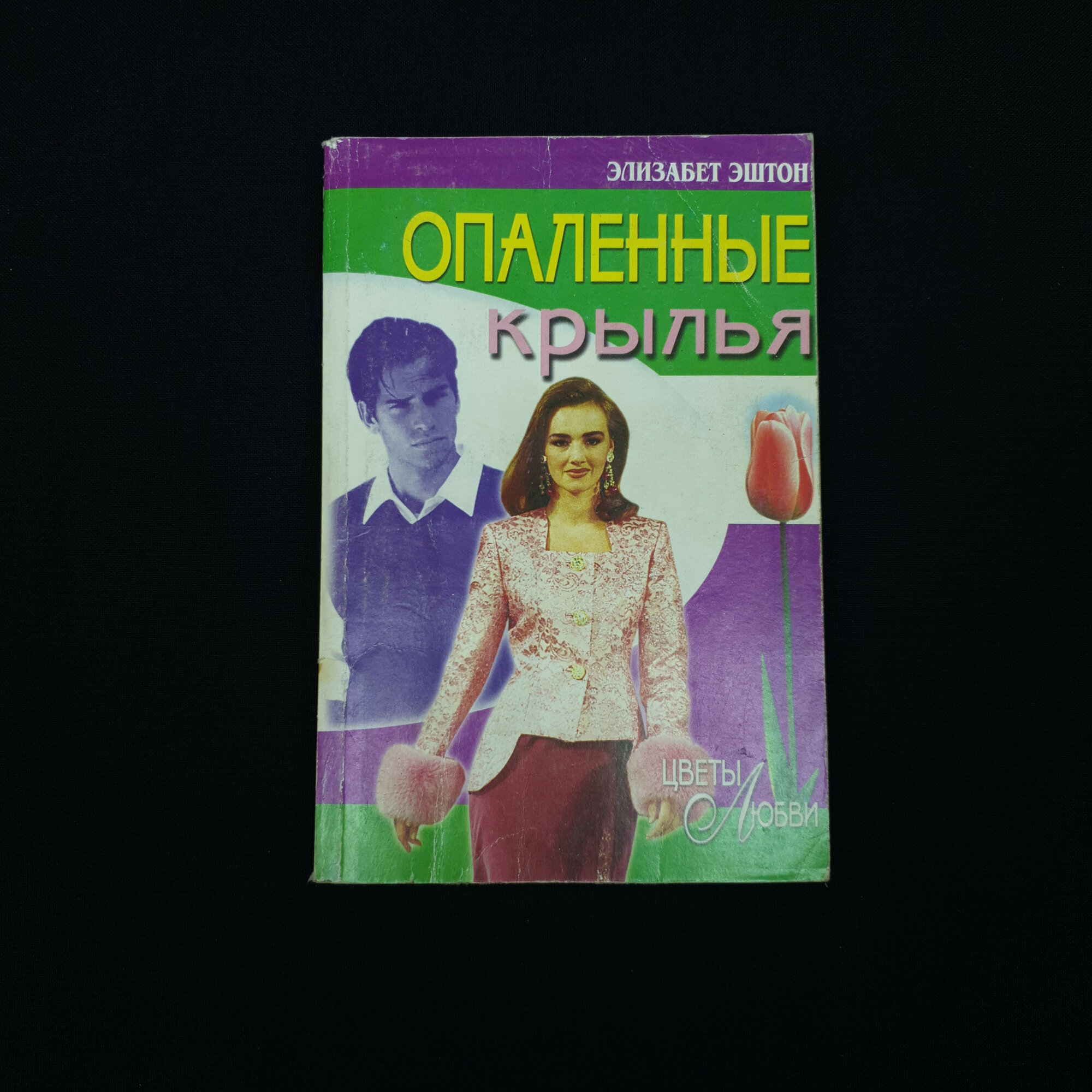 Элизабет Эштон. Опаленные крылья. Книга, роман о любви и семейных тайнах во Франции