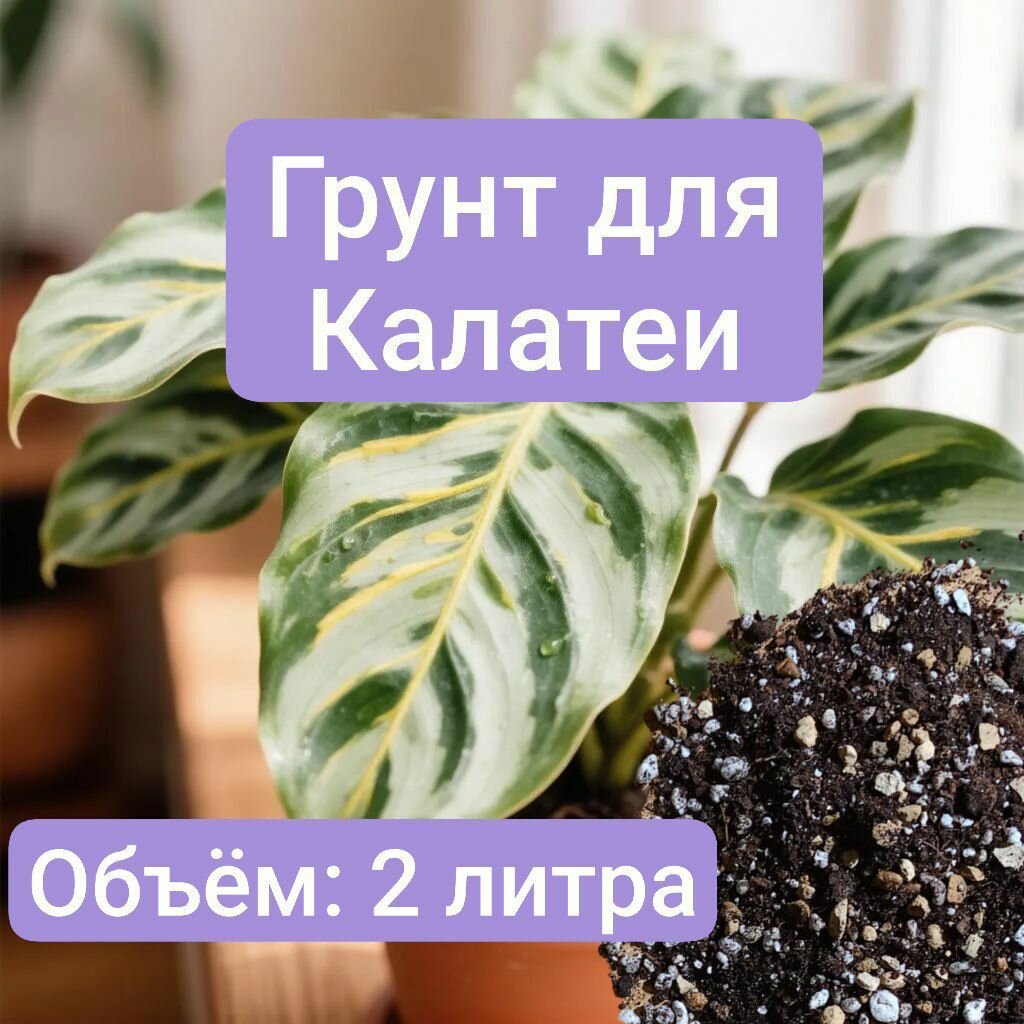 Авторский грунт для Калатеи 2 литра Универсальный 2 литра грунта