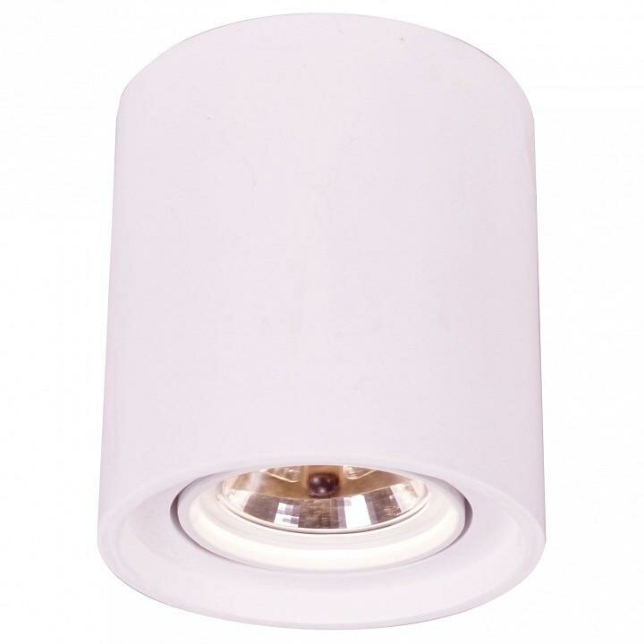 Накладной светильник Arte Lamp Tubo A9262PL-1WH цвет Белый