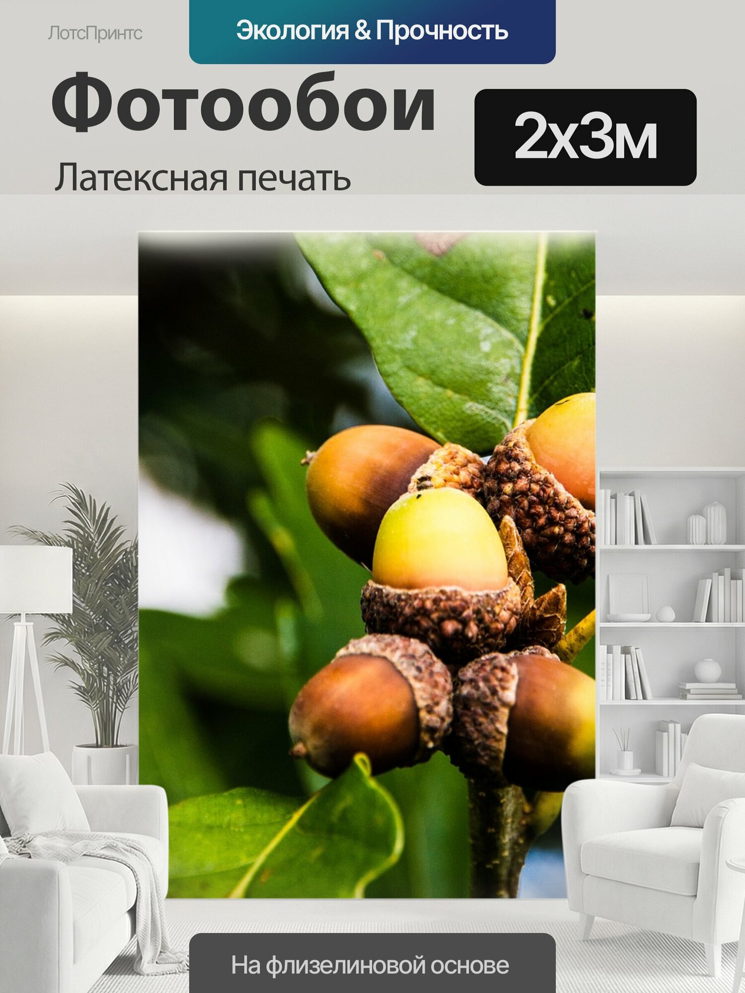 Фотообои моющиеся ударопрочные "Желуди, дуб, дубовые листья" 200x300 см. латексная печать
