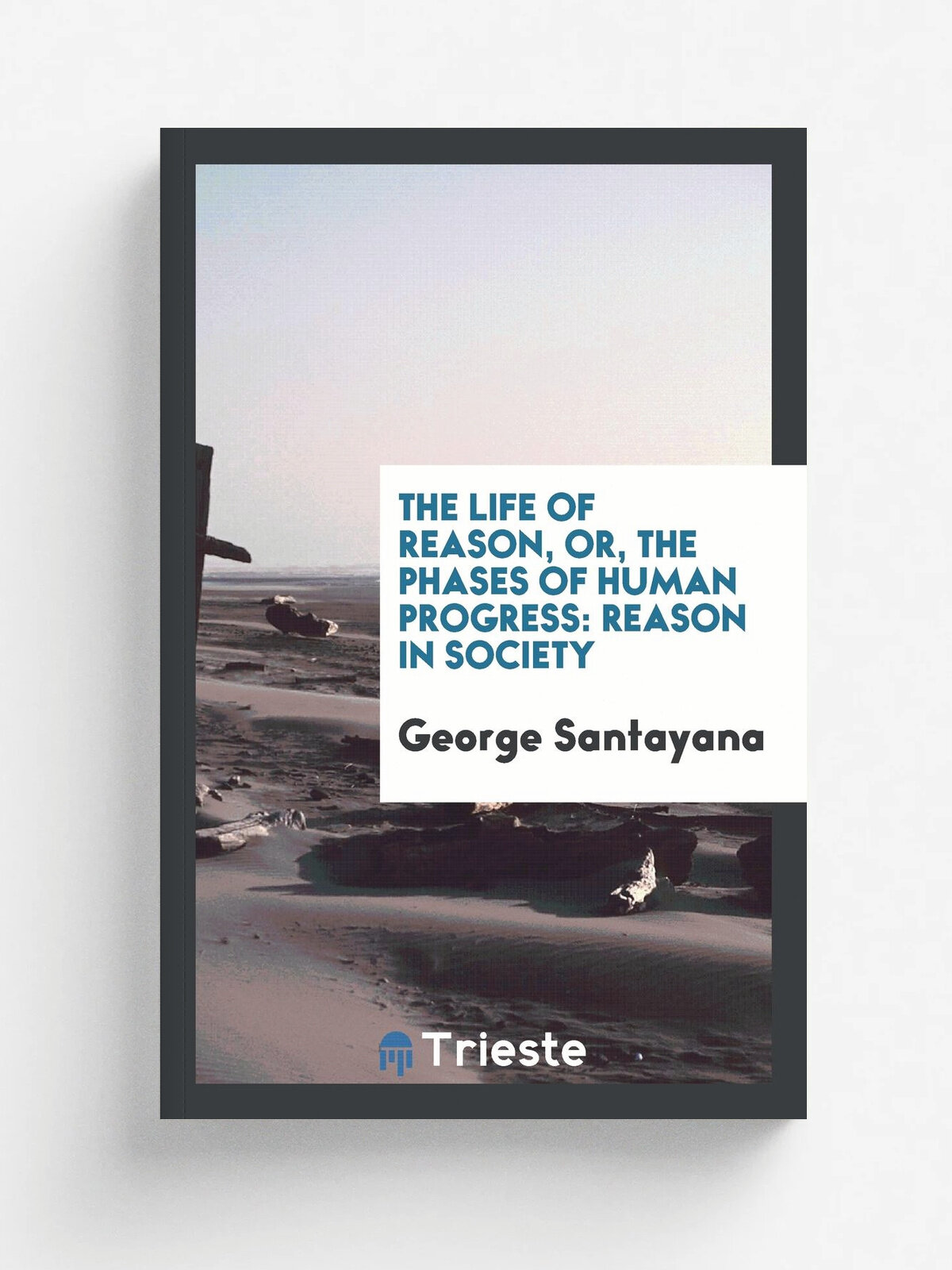 The life of reason; or, The phases of human progress