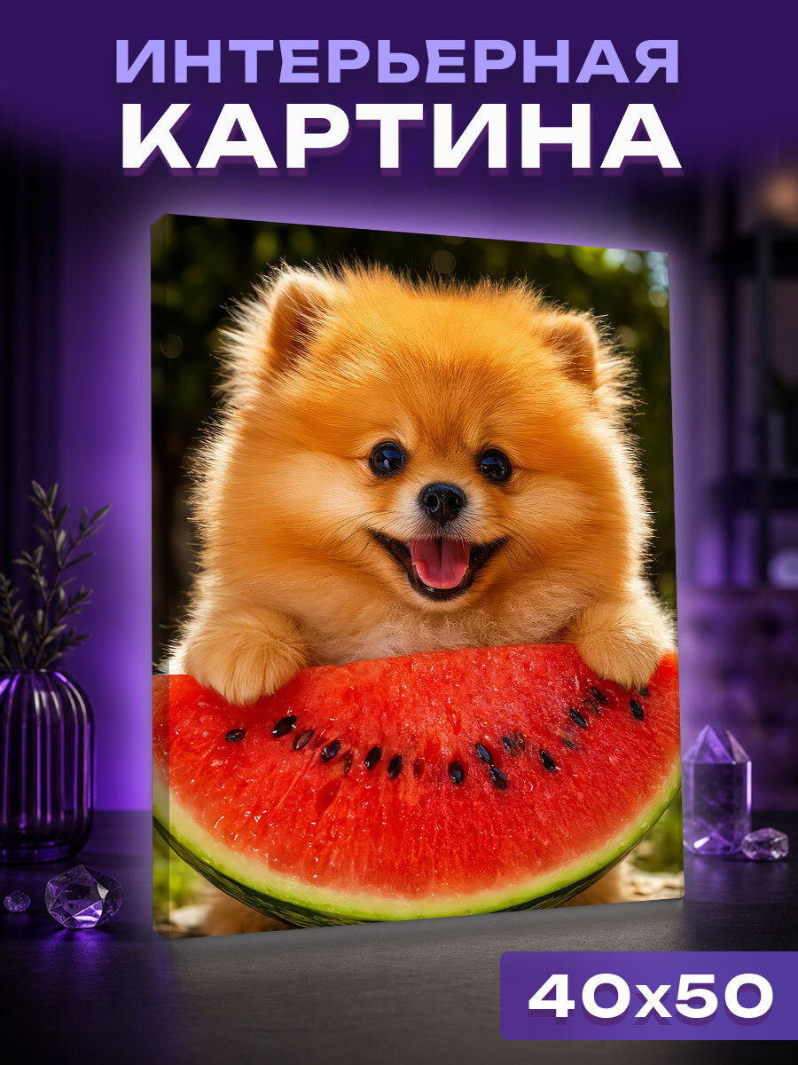 Интерьерная картина Веселый щенок шпица у сочного арбуза