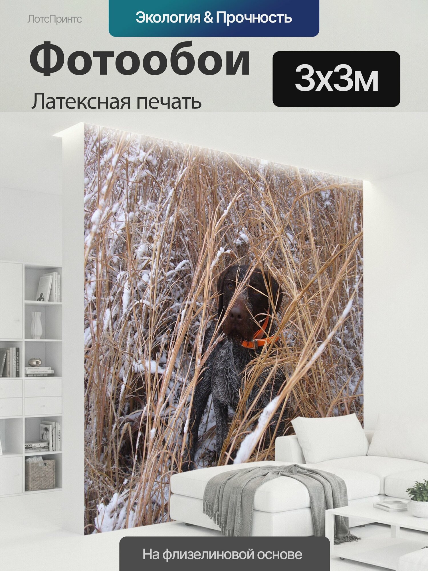 Фотообои моющиеся ударопрочные "Собака, охота, точка" 300x300 см. латексная печать