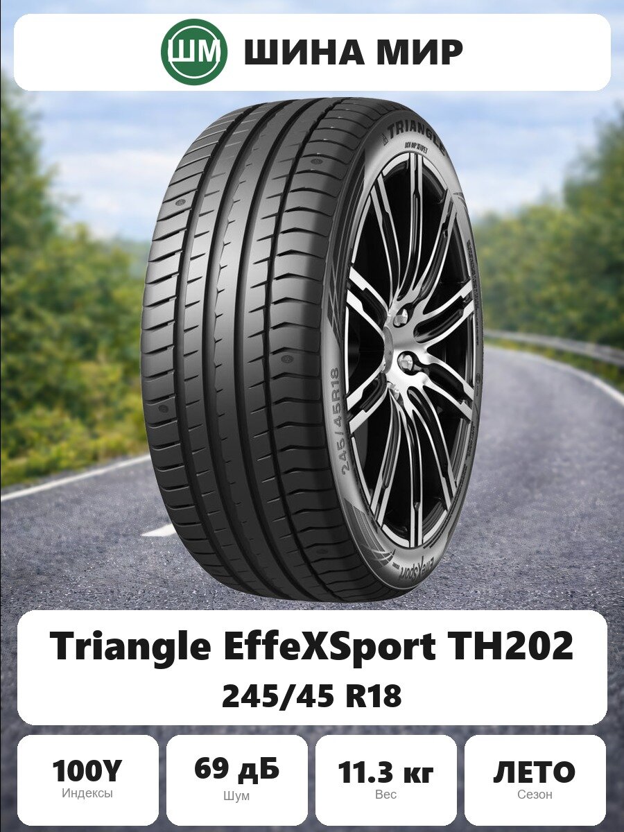Шина Triangle EffeXSport TH202 245/45 R18 XL 100Y Летняя Нешипованная