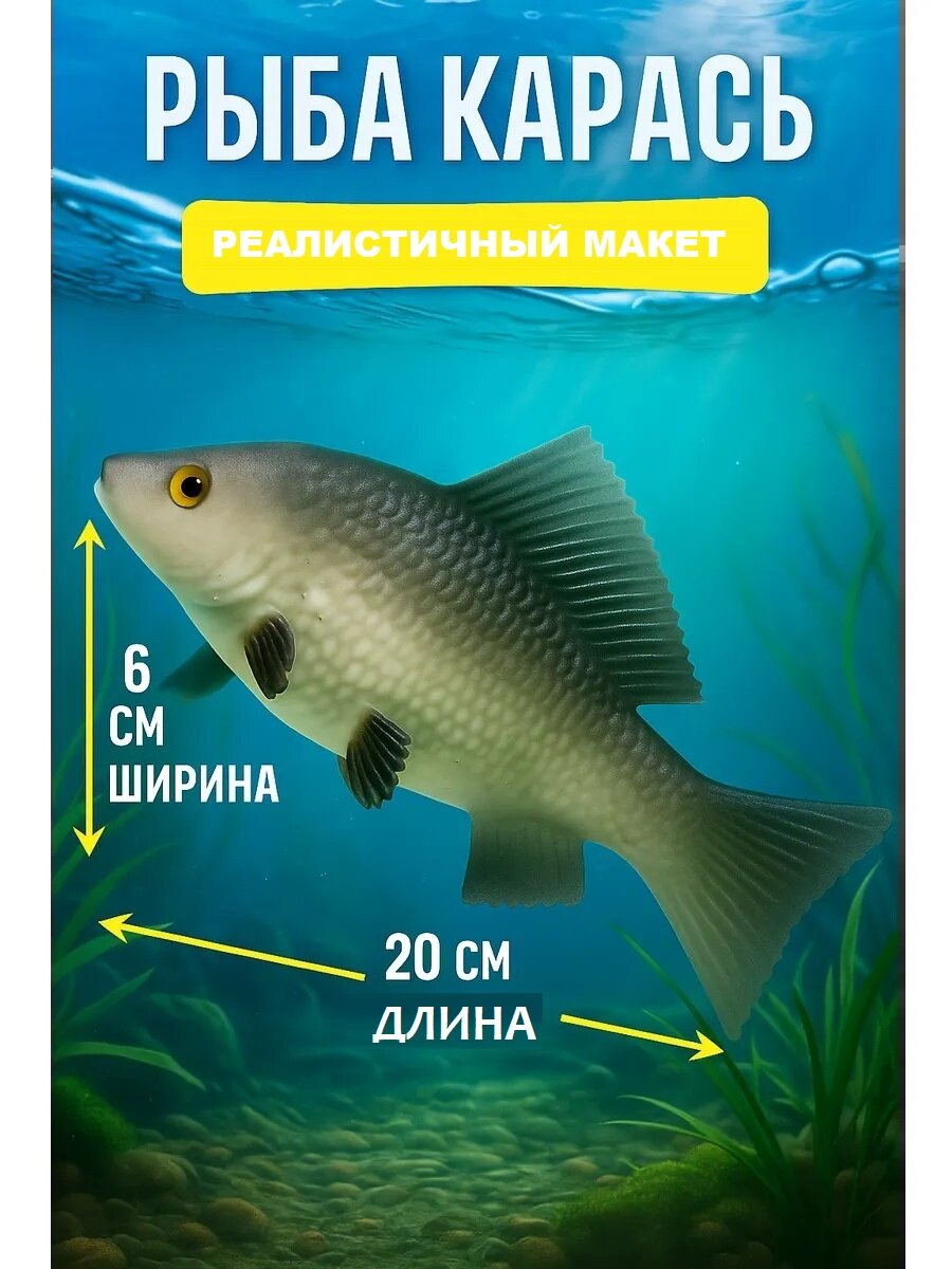 Муляж "Рыба карась", размеры 6 х 20 см, искусственная кожа, 33 г (Цвет товара: карась; Длина: 20 см; Ширина: 6 см)