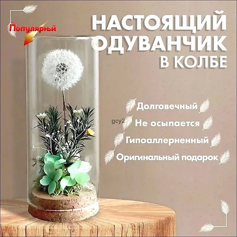 Стабилизированные цветы 160 см 1 шт белый