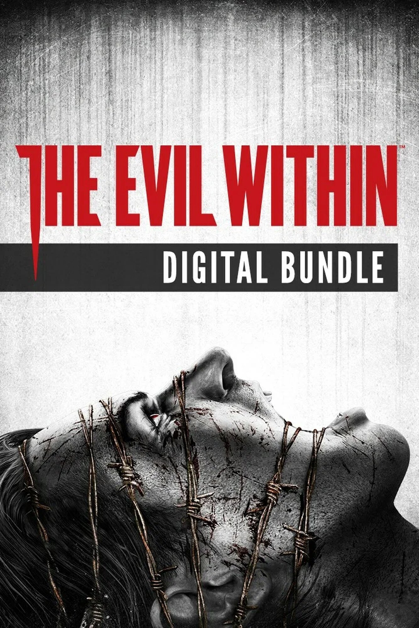 Видеоигра The Evil Within Bundle, Все страны, разработчик Tango Gameworks, издание цифровое