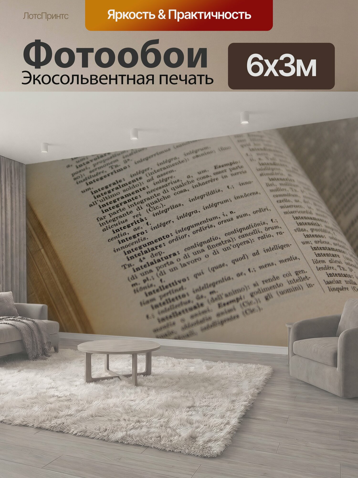 Фотообои "Старая книга Латинский словарь книги словарь латинский библиотека чтение текст перевод писатель сценарий автор авторы руководство." 600x300 см. экосольвентная печать
