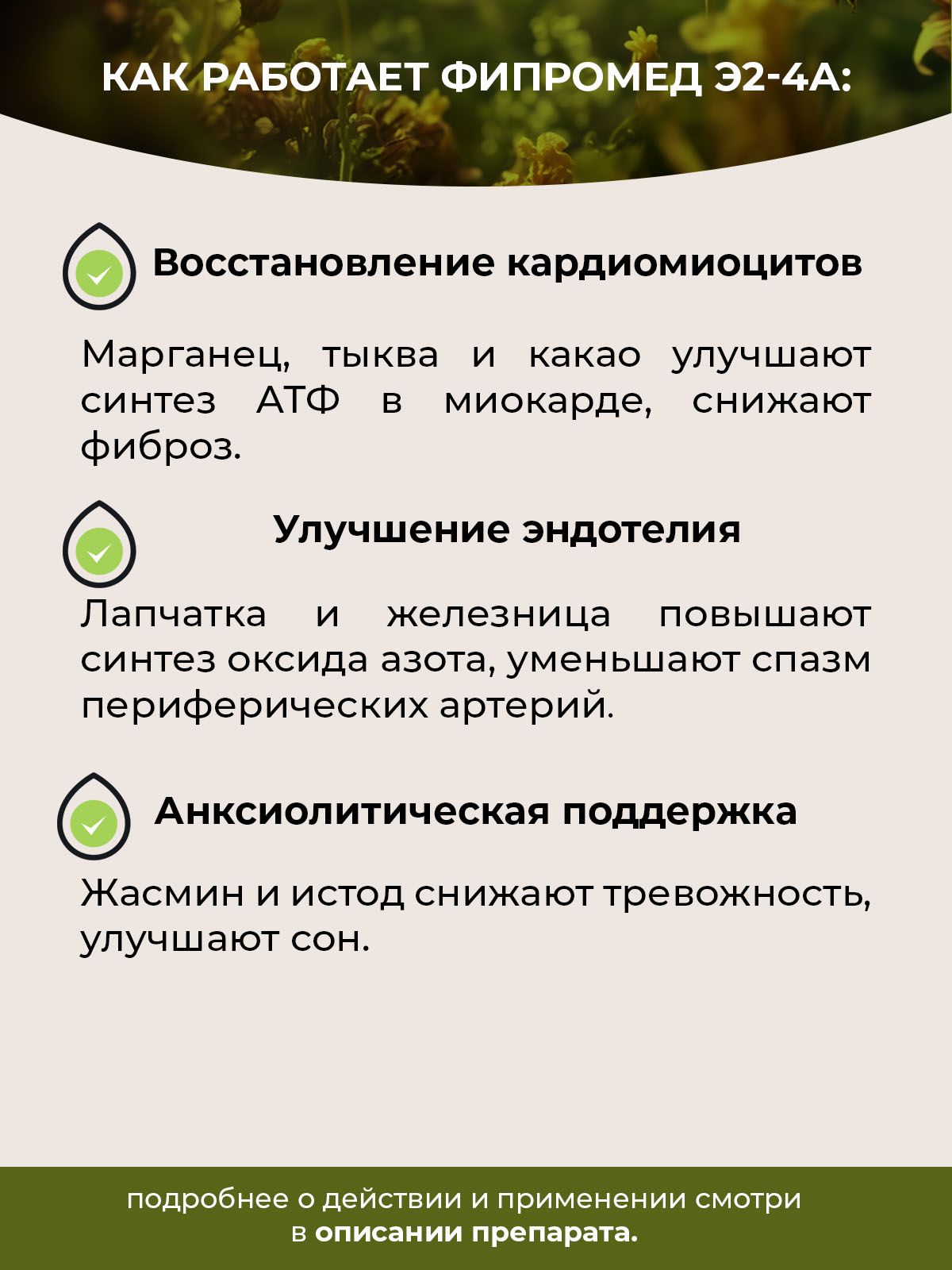 Фипромед Э2-4А Феохромоцитома, 50 мл. — фото 1