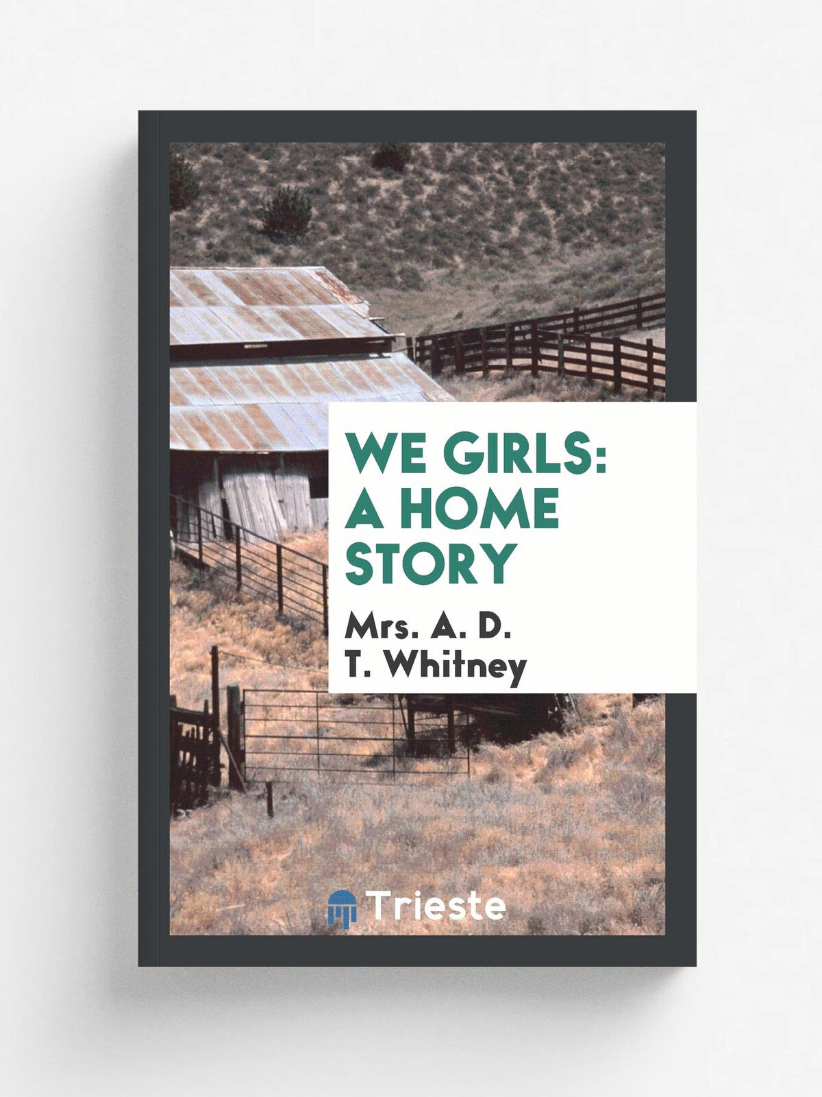 We Girls. A Home Story