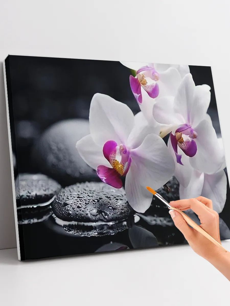 Картина по номерам на холсте 40 x 50 "Орхидеи на камнях"
