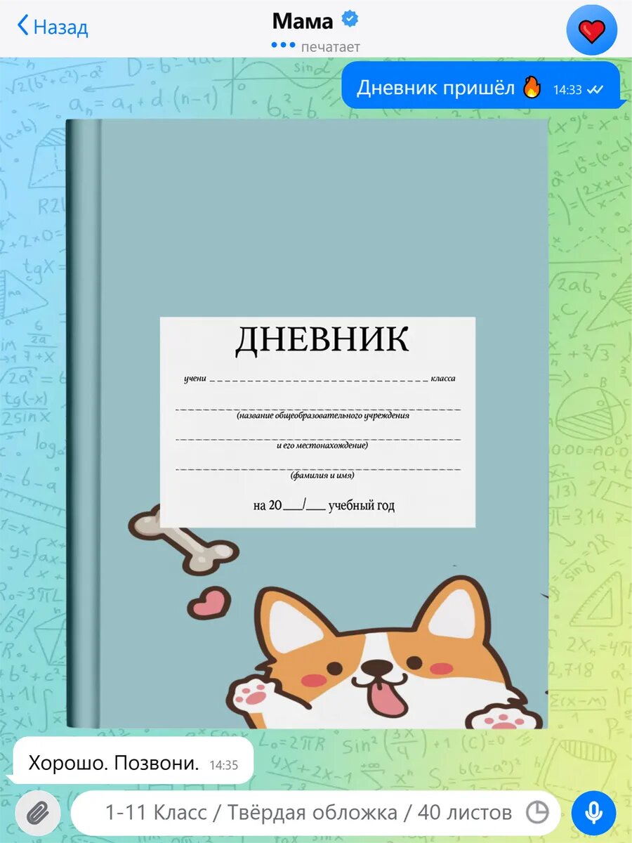 Школьный дневник с принтом Роблокс