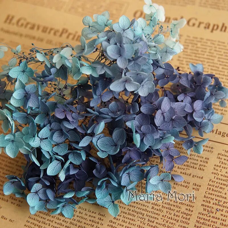 Полимерная гортензия градиент Gradient Color 73E