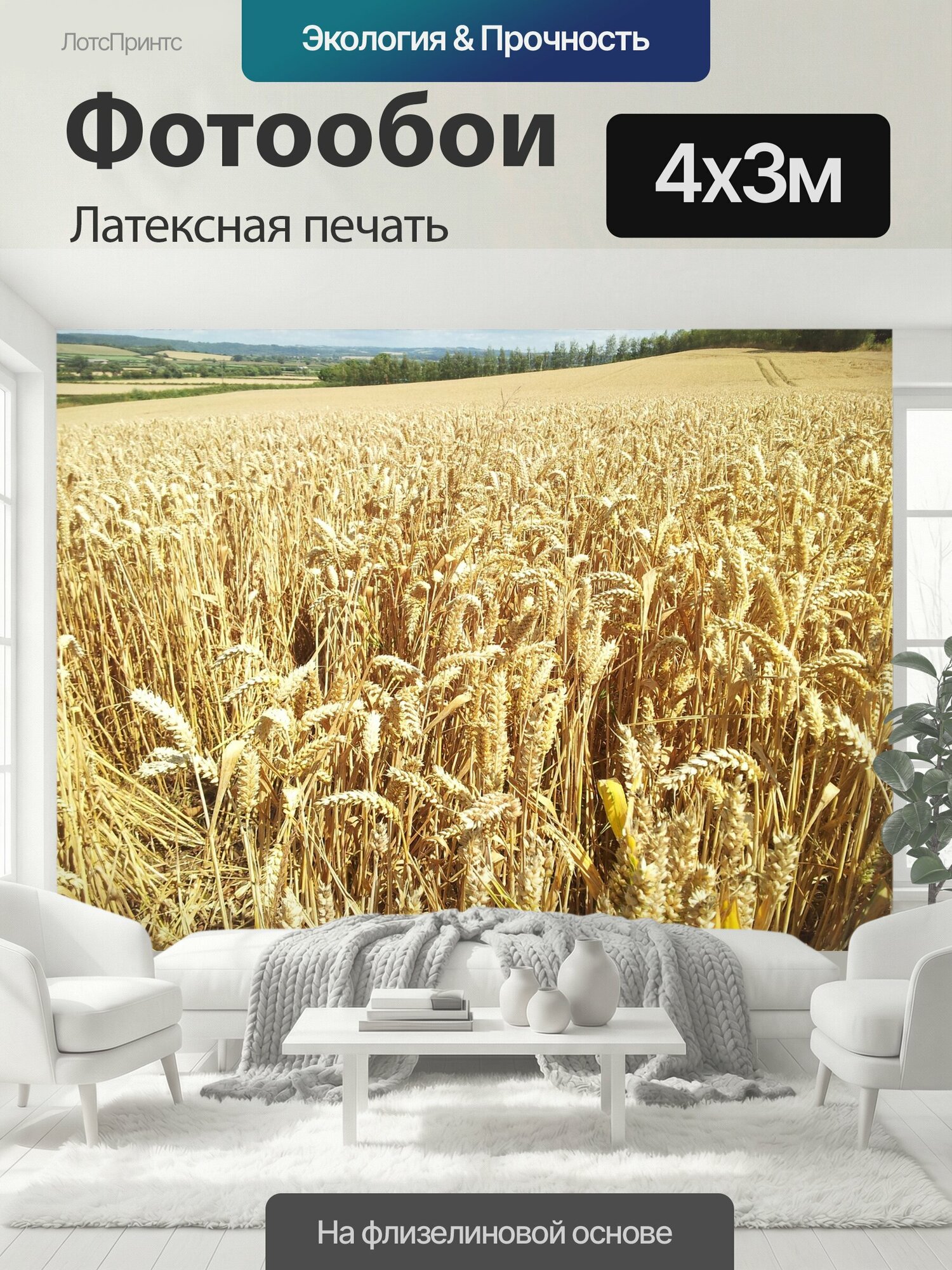 Фотообои моющиеся ударопрочные "Пшеница, пшеничная ферма, ферма" 400x300 см. латексная печать