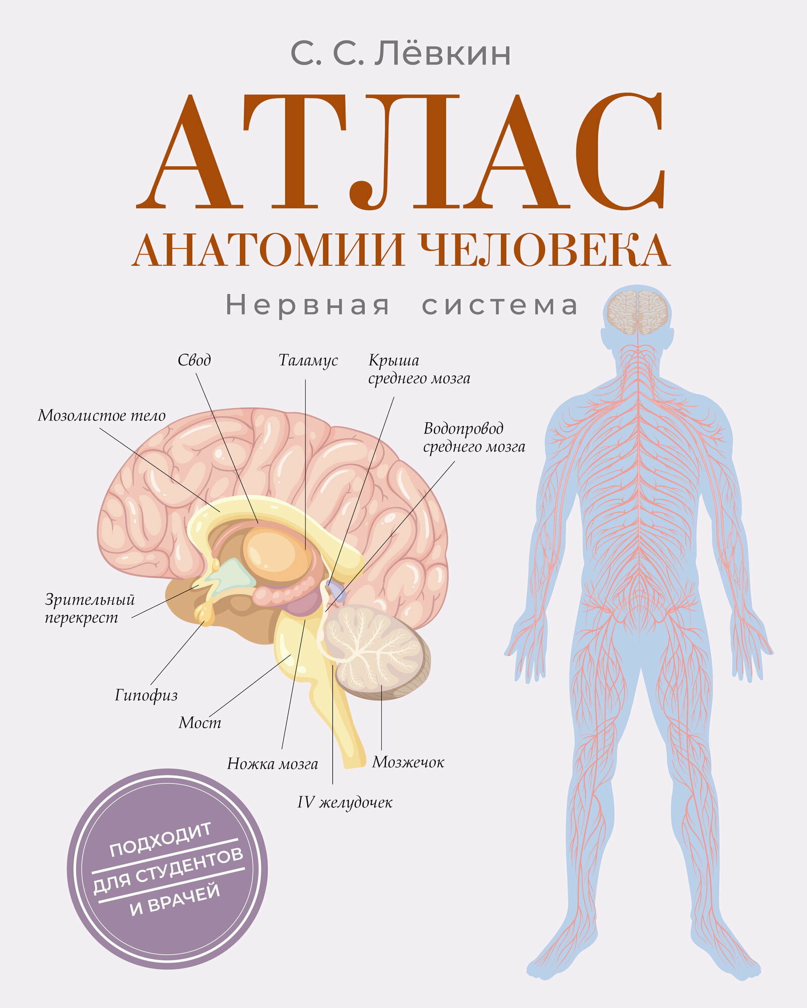 Атлас анатомии человека Нервная система