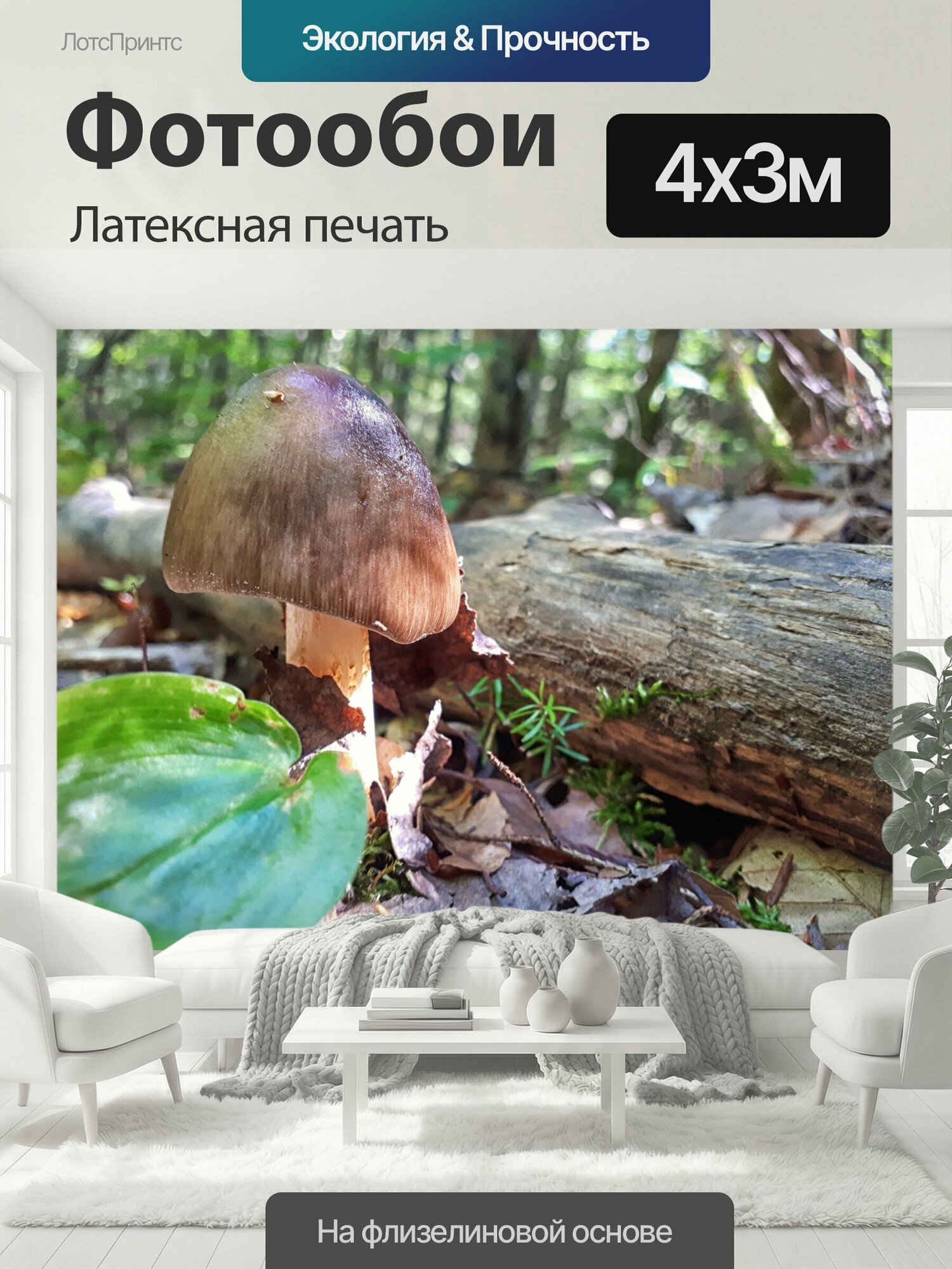 Фотообои моющиеся ударопрочные "Грибы Грибы в лесу грибы грибок лес дерево природа время года летом всеобщее достояние" 400x300 см. латексная печать