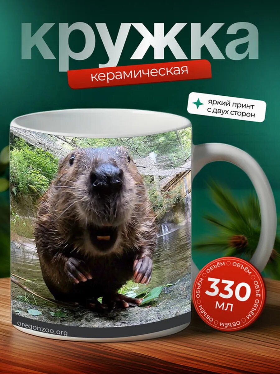 Кружка Бобр животное 12,