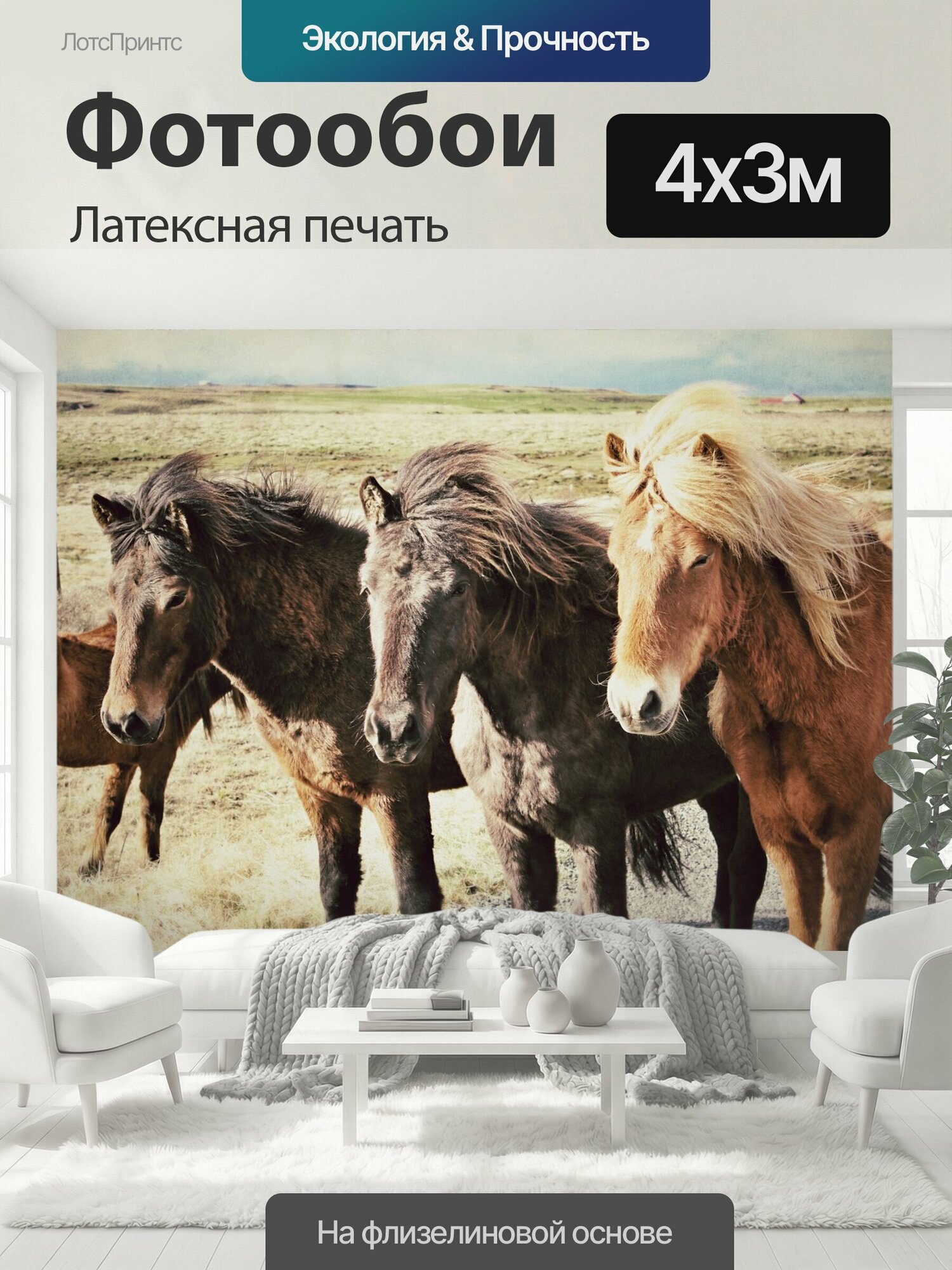 Фотообои моющиеся ударопрочные "Лошади, исландские лошади, исландия" 400x300 см. латексная печать