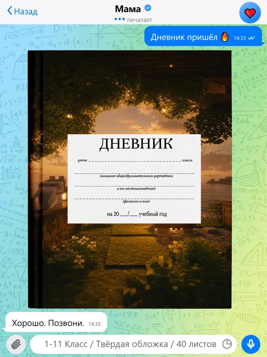 Школьный дневник с принтом Роблокс