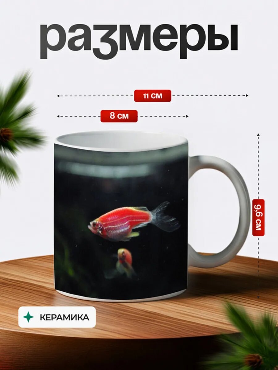 Кружка Данио рыбка 2, — фото 1