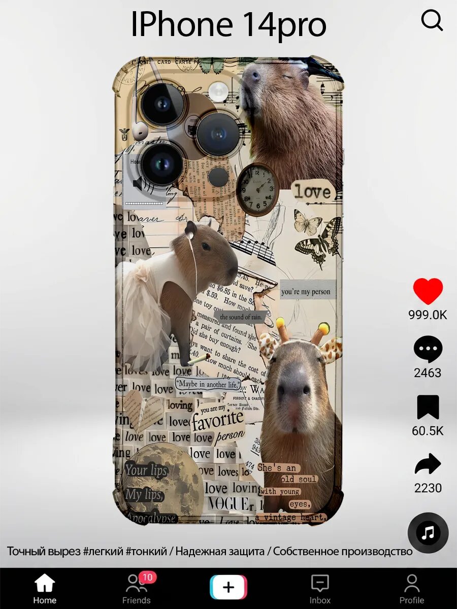 Чехол на iPhone 14 Pro с принтом Капибара винтажный коллаж