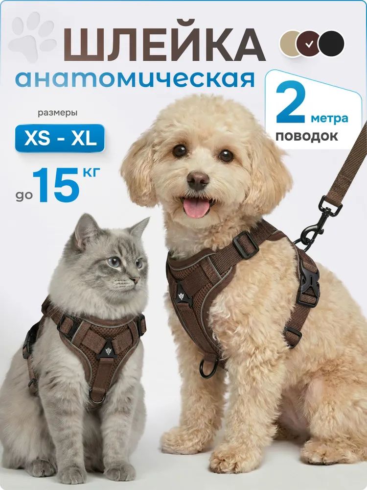 Шлейка для собак мелких средних пород и кошек с поводком