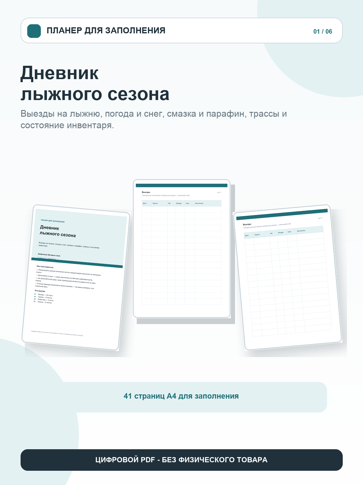 Дневник лыжного сезона: выезды на лыжню, погода и снег, смазка и парафин, трассы и состояние инвентаря, цифровой PDF A4, 41 страница