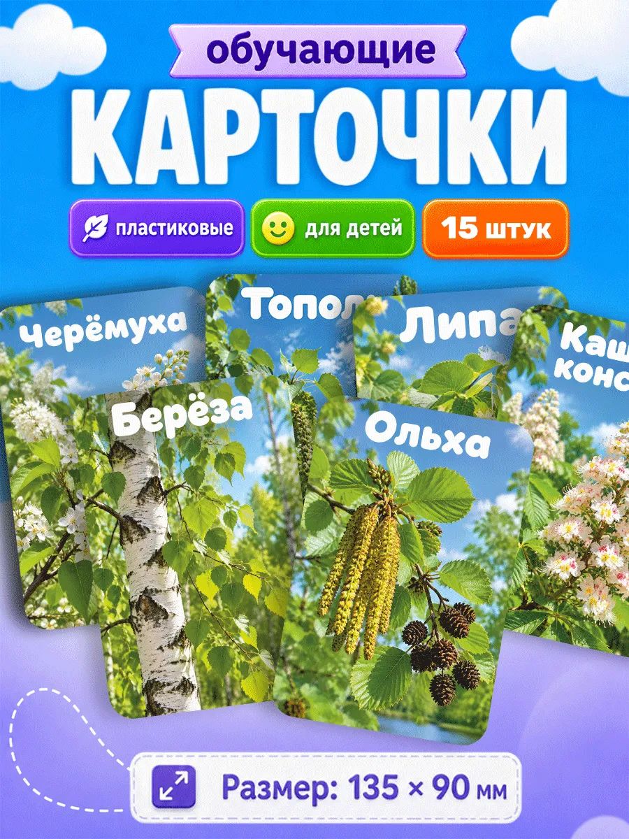 Развивающие карточки для детей Деревья и кустарники