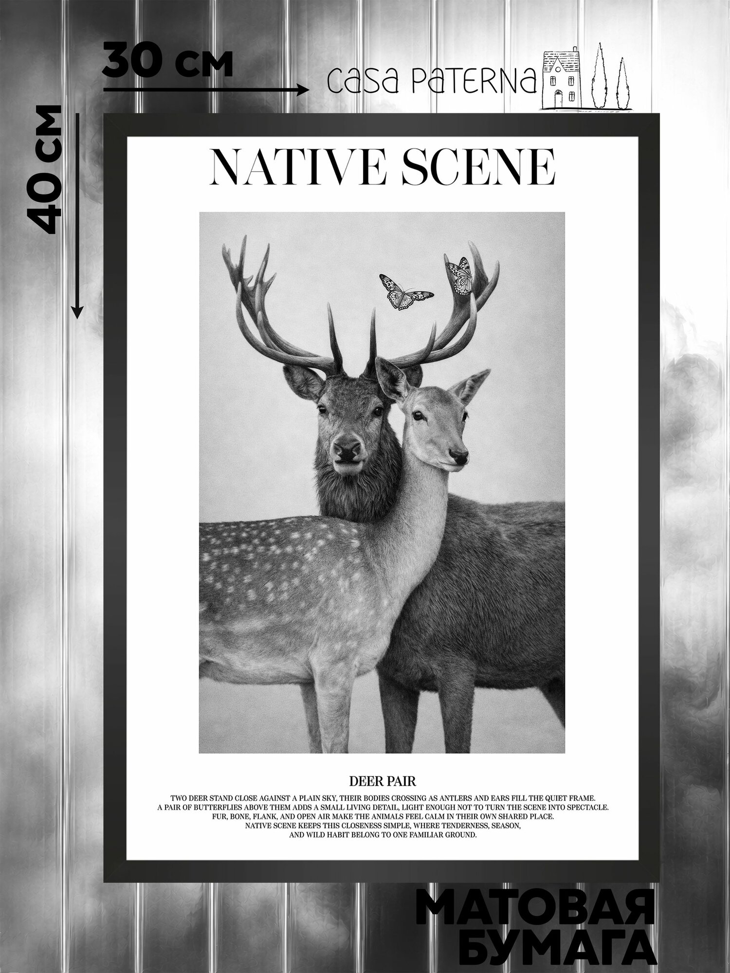 Постер на стену 30х40 Native Scene #22, черно-белая фотография для интерьера, чб без рамки Casa Paterna