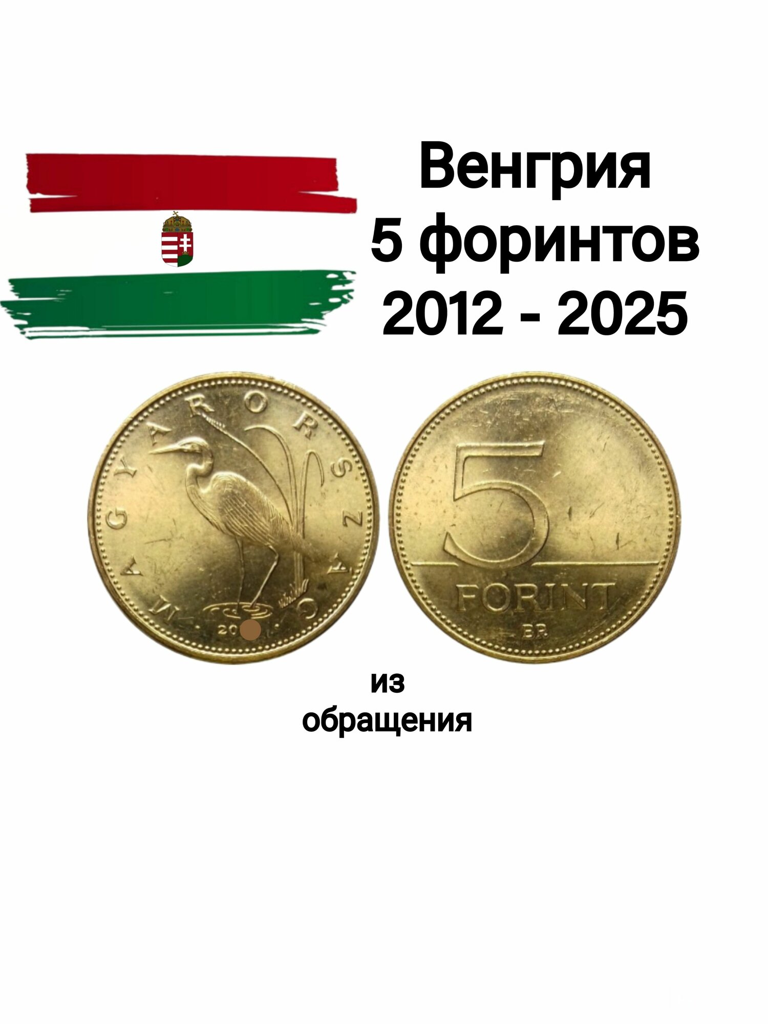 Венгрия, монета 5 форинтов 2012 - 2025, птица, Большая белая цапля