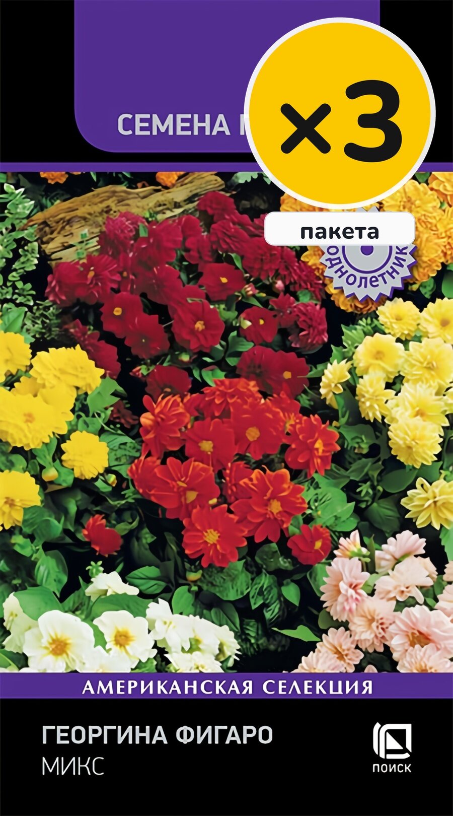 Семена георгины Фигаро Микс, 10 шт, 3 пакета, Поиск, однолетник, высота до 35 см, посев на рассаду в марте–апреле