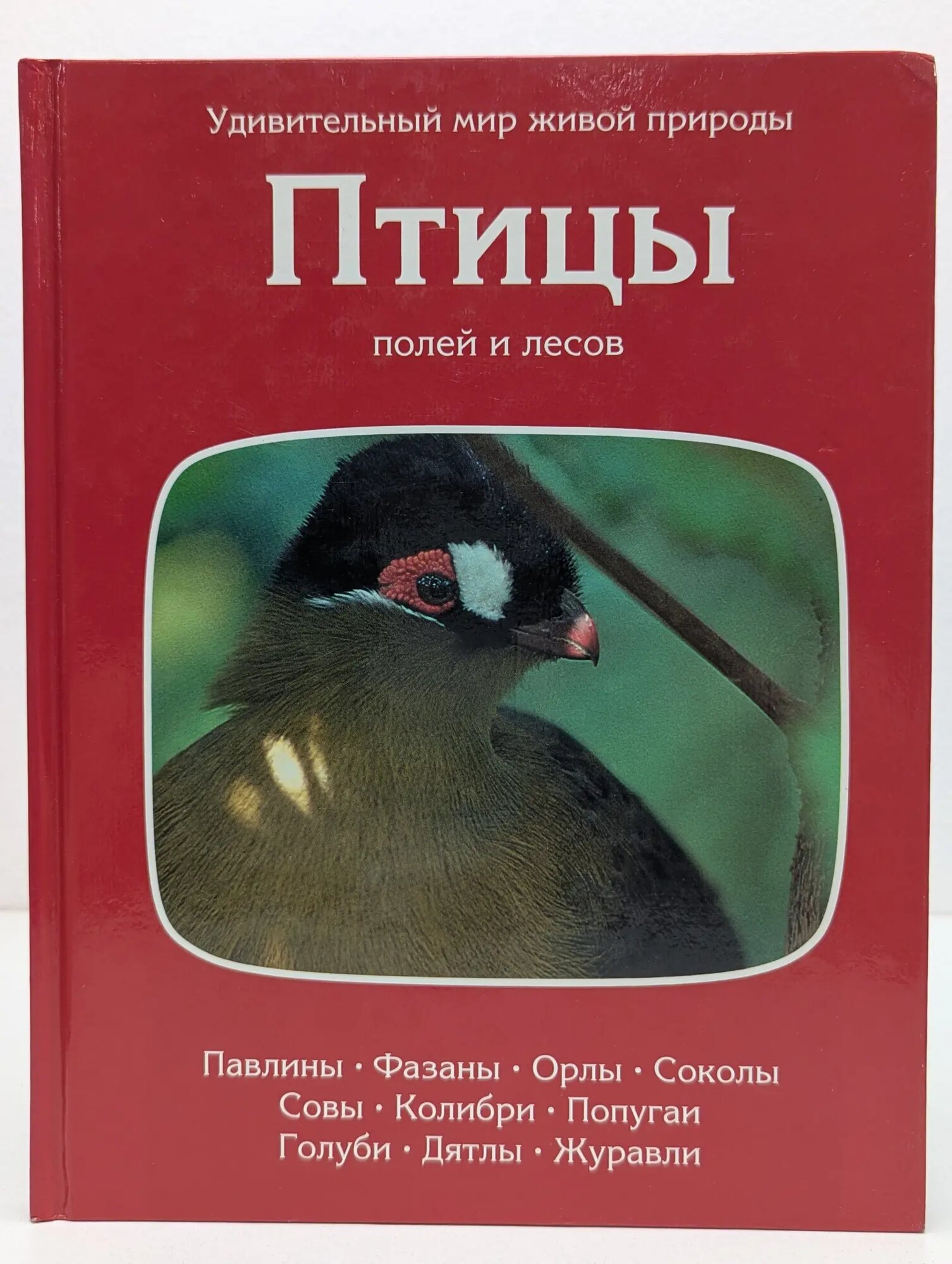 Удивительный мир живой природы. Птицы полей и лесов Вуд Перри 1998