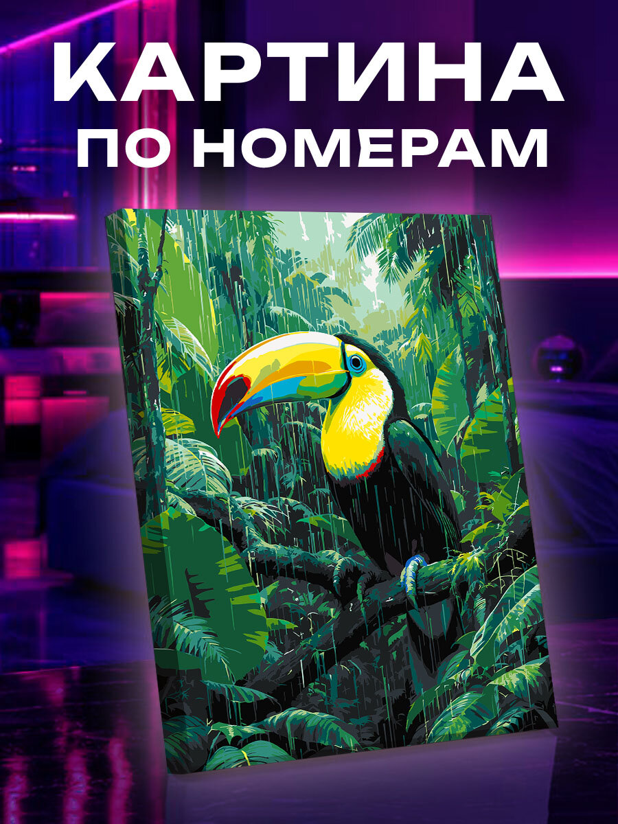 Картина по номерам Тукан