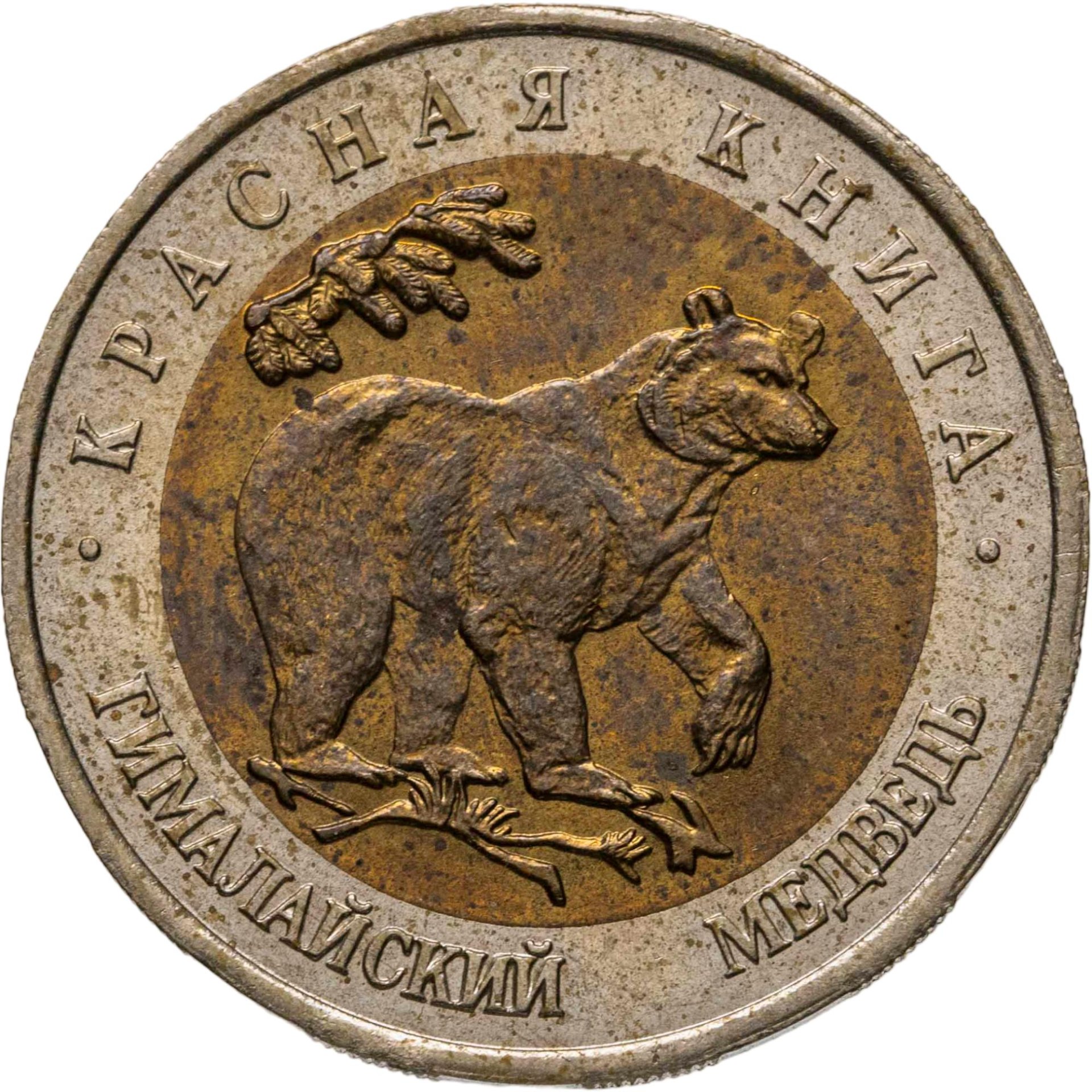 50 рублей 1993 ЛМД гималайский медведь, Биметалл, в сохранности AU-UNC