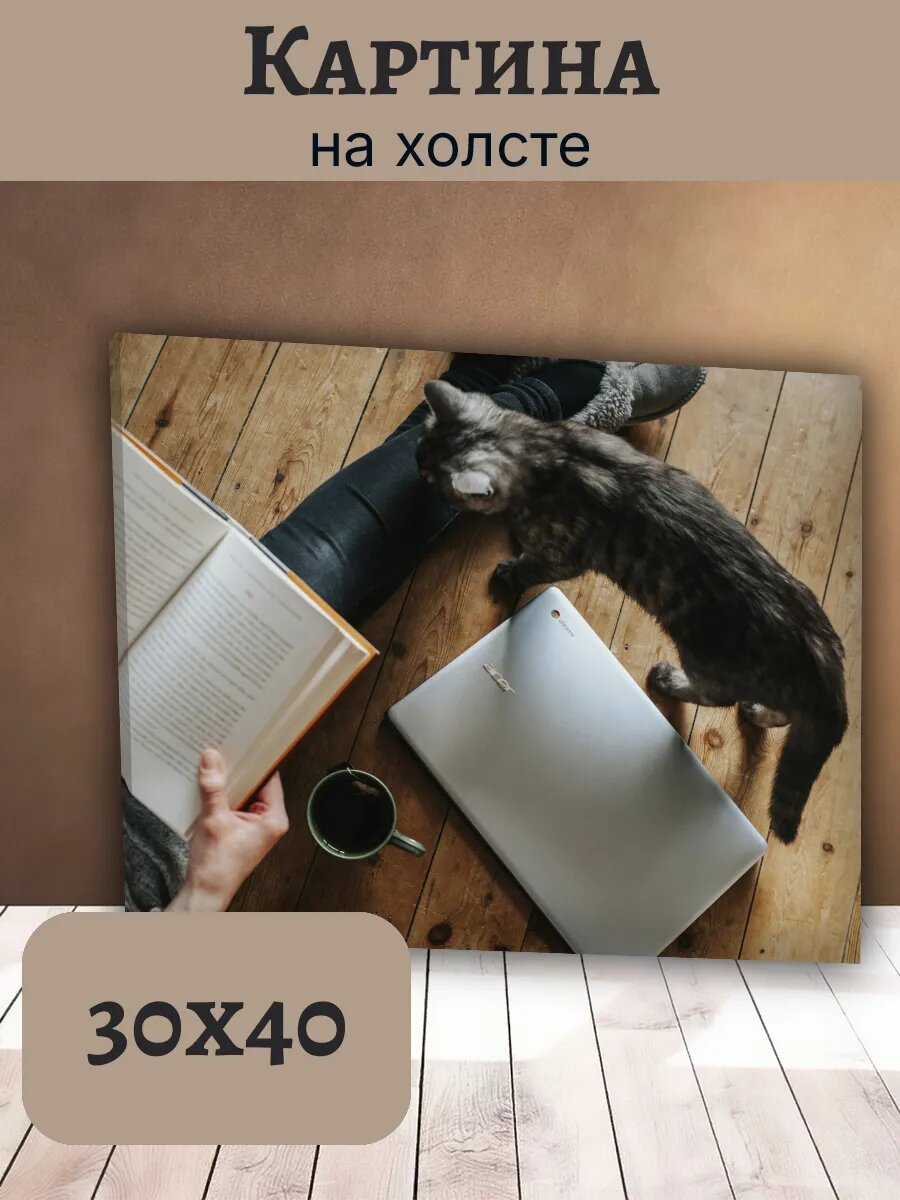 Картина Кот Кошка Cat 30x40 полосатый серый домашний уют