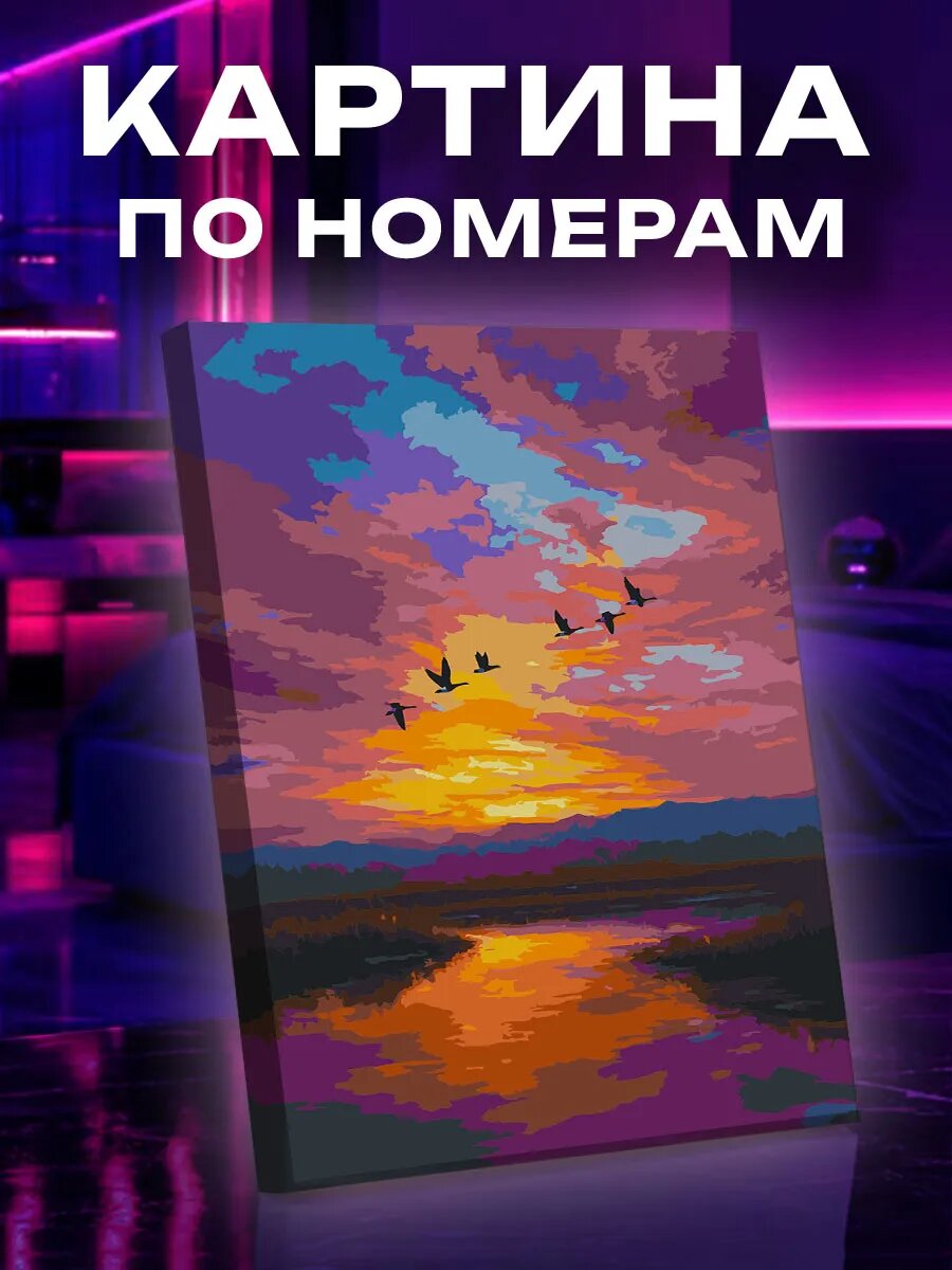 Картина по номерам Гуси