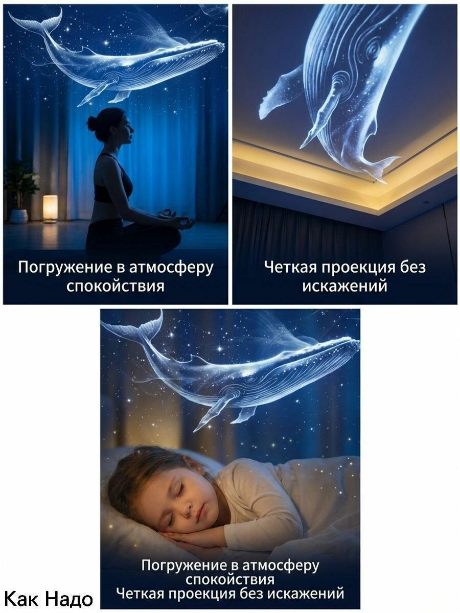 Содержит 24 слайд. — фото 1