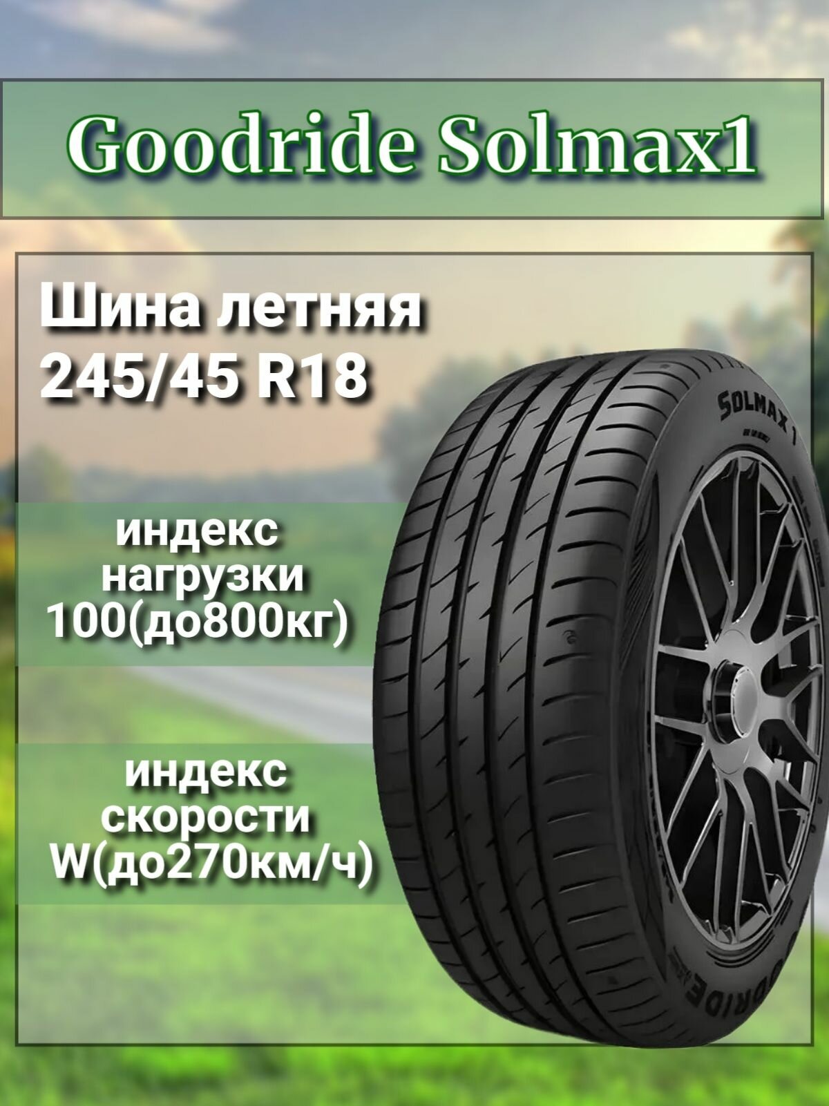 Шина легковая Goodride Solmax1 245/45 R18 100 W