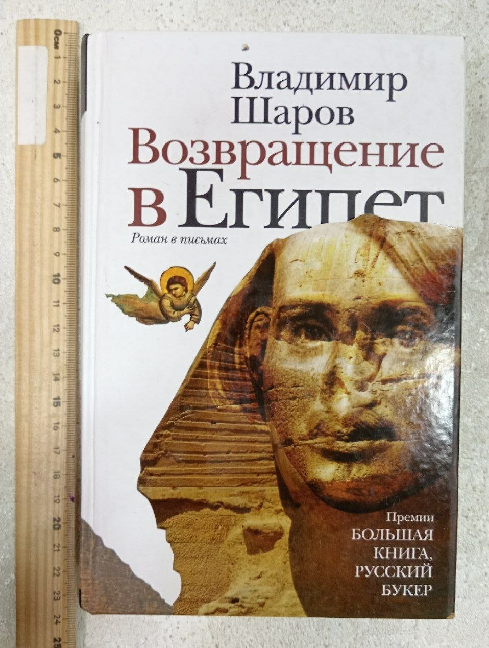 Возвращение в Египет Шаров Владимир Александрович
