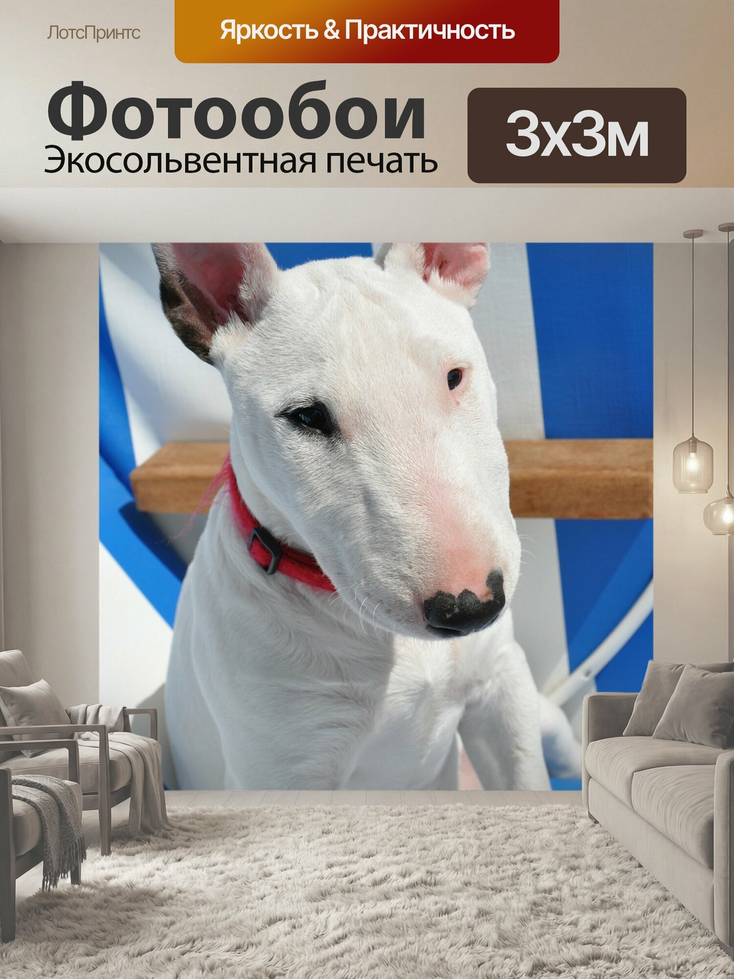 Фотообои "Бультерьер, собака, животное" 300x300 см. экосольвентная печать