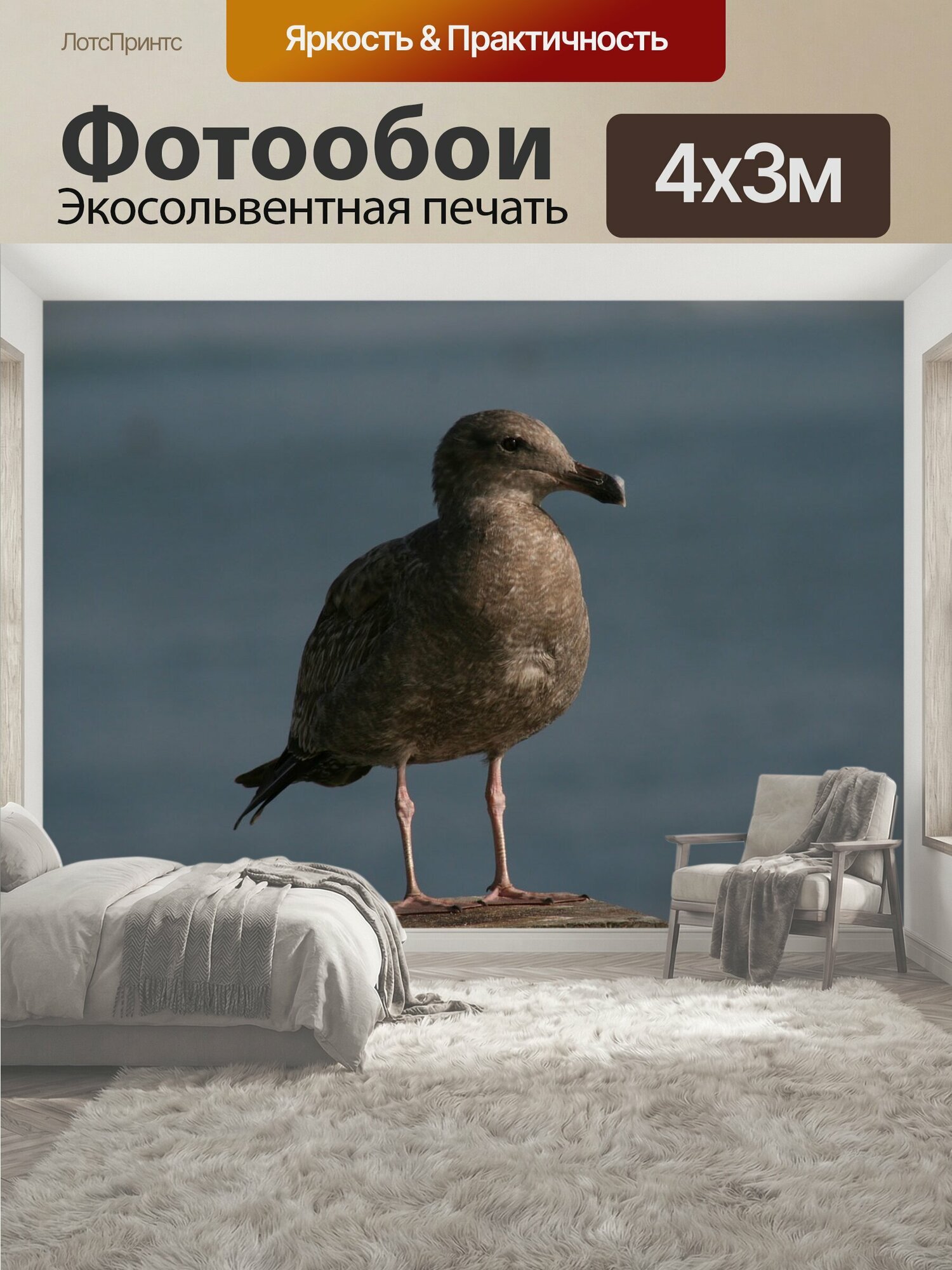 Фотообои "Чайка, птица, сидя" 400x300 см. экосольвентная печать