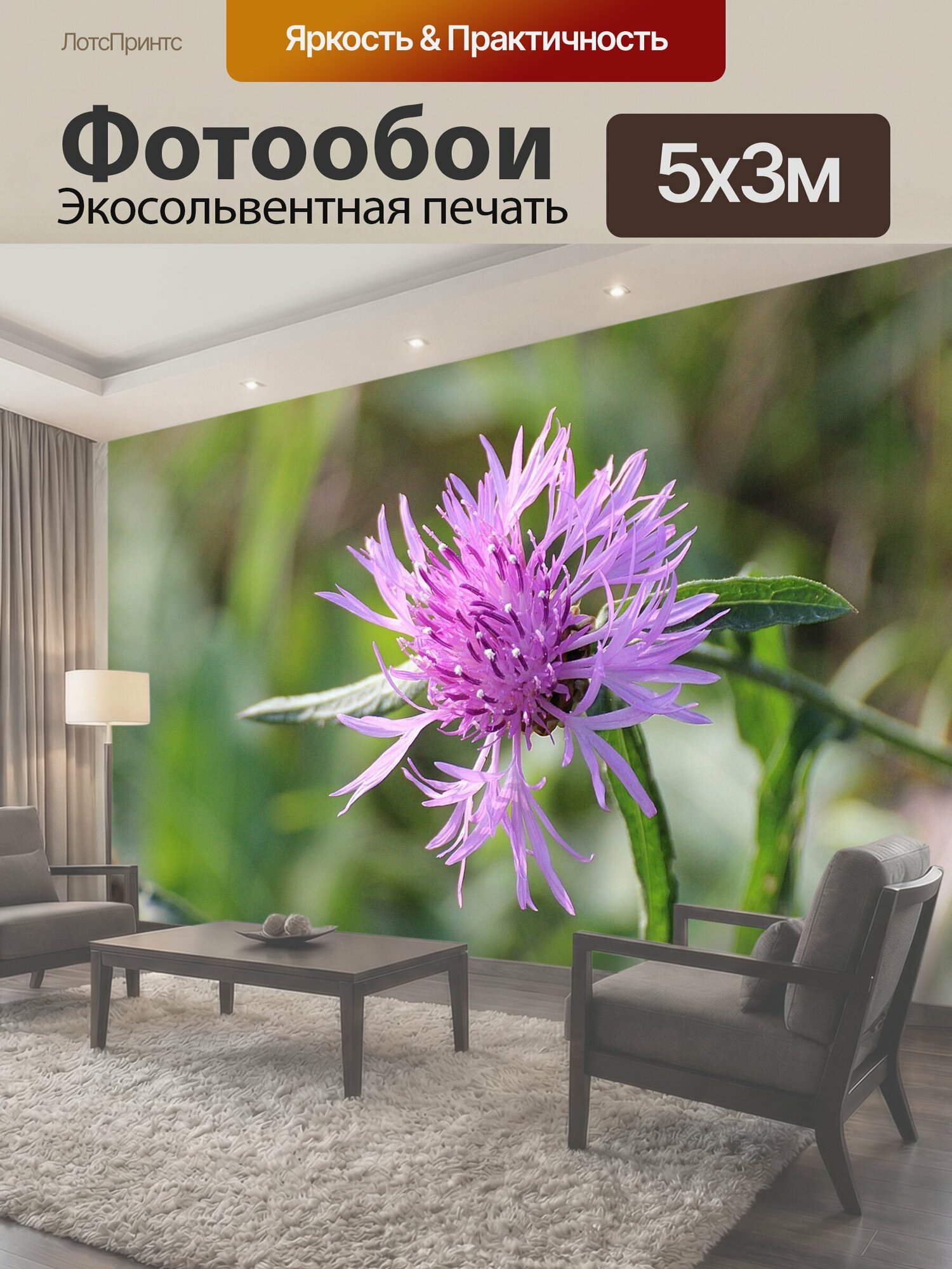Фотообои "Василек, центавр, композиты" 500x300 см. экосольвентная печать