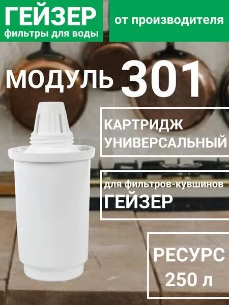 Картридж для фильтра-кувшина Гейзер 301, ресурс 250 л, комплексная очистка воды, 30506