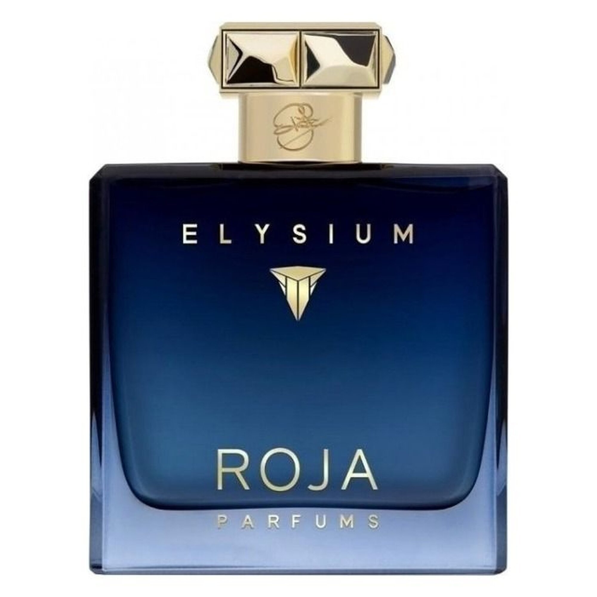 Roja Parfums Elysium Pour Homme Parfum Cologne Парфюмерная вода для мужчин 100 ml