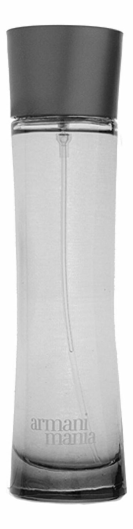 Giorgio Armani Mania Pour Homme Туалетная вода для мужчин 100 ml