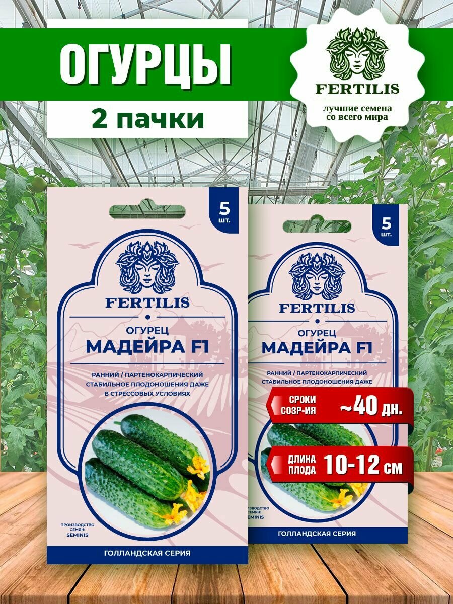 Семена урожайного огурца Мадейра F1 от компании Fertilis (2 пачки)