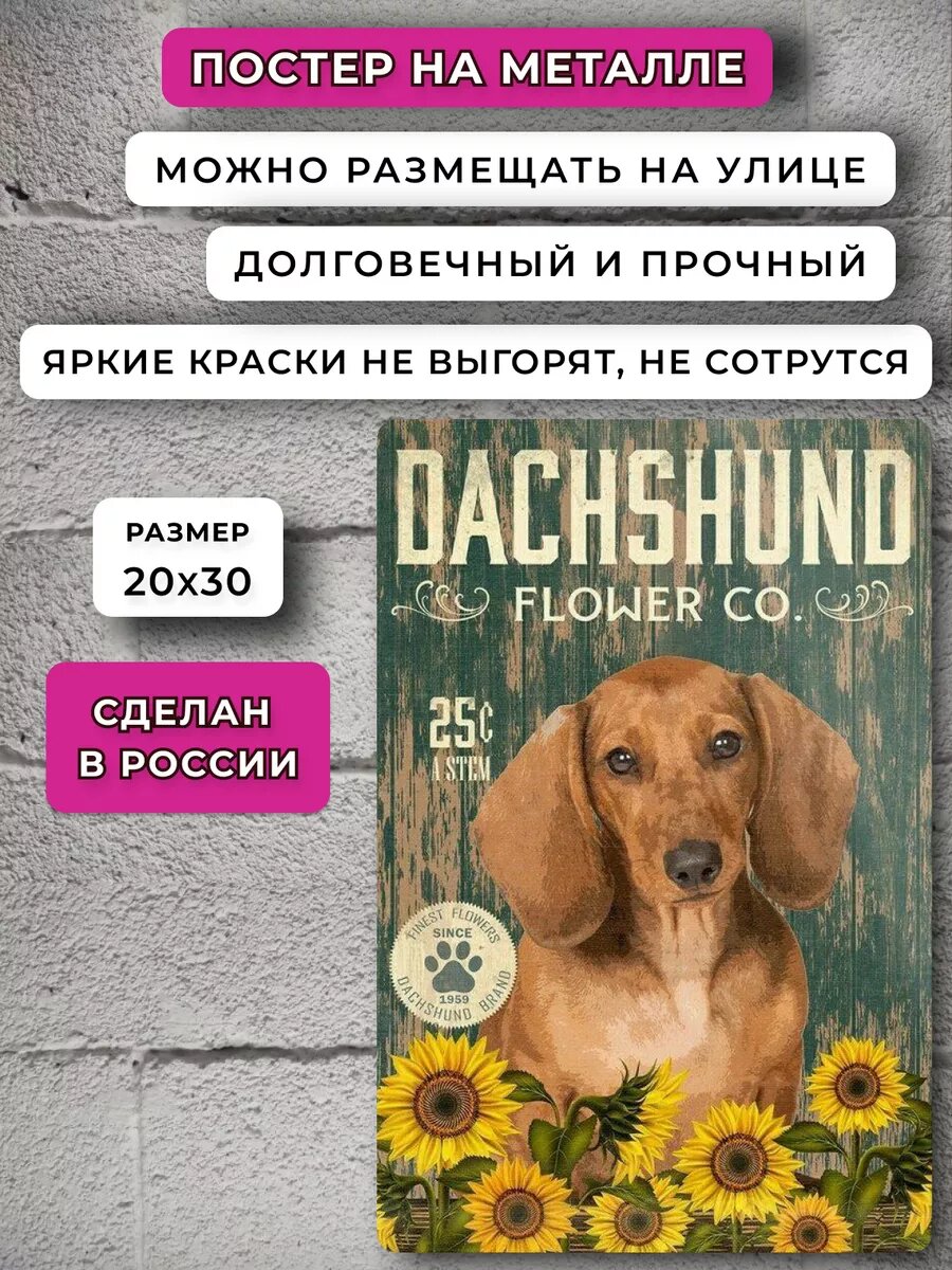 Постер Такса ретро — фото 1