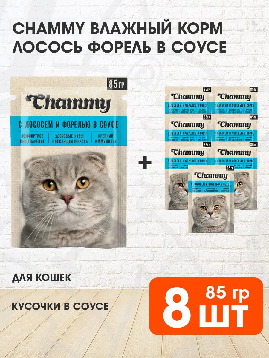 Корм влажный Chammy для взрослых кошек, лосось и форель в соусе, 85 г 8 шт