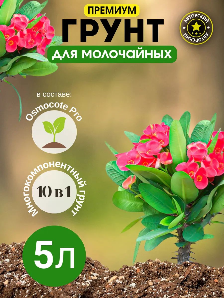 Грунт для Молочайных 5л готовый премиум